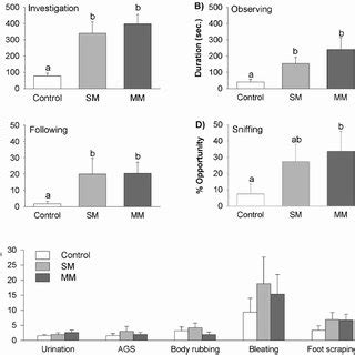 Temporal Patterns Of Behavior In Male Pandas A Chemosensory Download Scientific Diagram