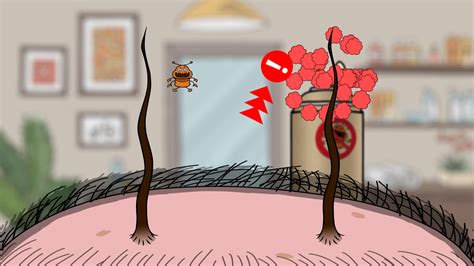 Lousy Louse By Toroidev Brutus181 P11a03