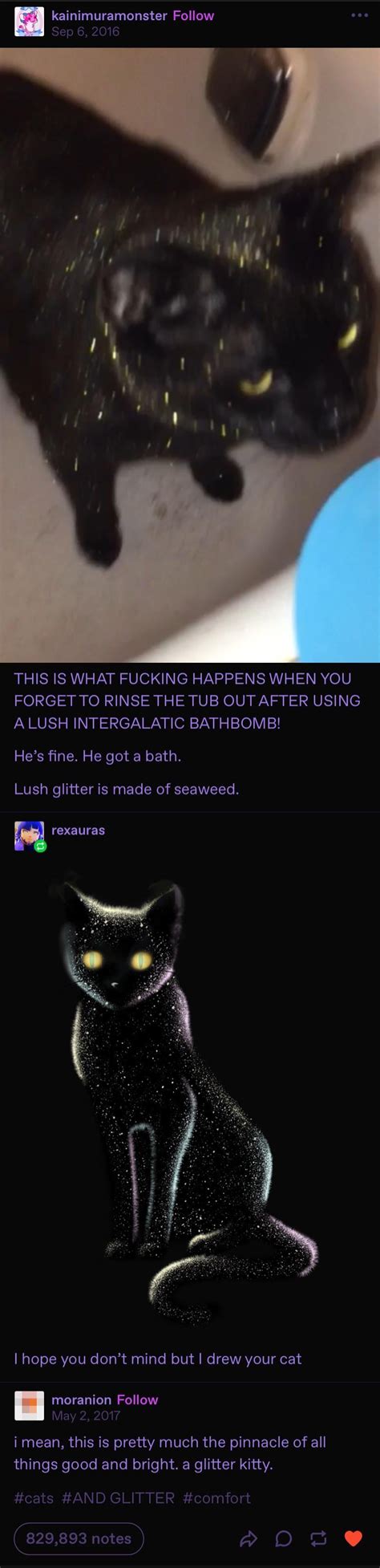 Lush Intergalactic Cat Rtumblrdraws
