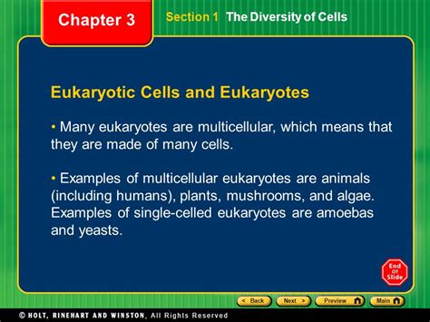 Chapter 3 Preview Section 1 The Diversity Of Cells Ppt Video Online