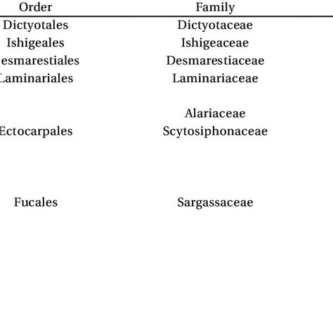 Brown Algal Species Selected For The Transcriptome Sequencing Analysis Download Table