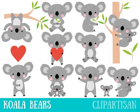 Koala Clipart Koalas Clip Art Cute Koala Bears Printable Etsy