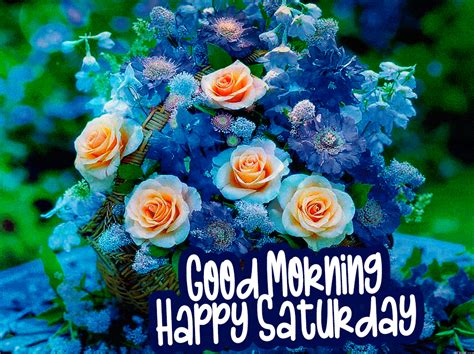 Happy Saturday  Cen