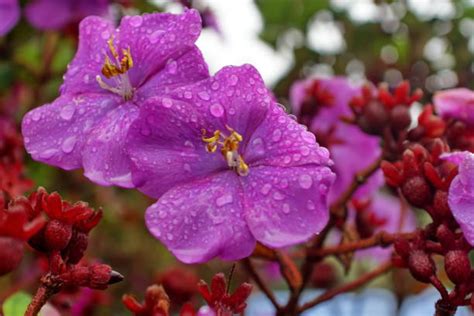 570 Intag Fotos Fotografías De Stock Fotos E Imágenes Libres De