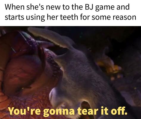 Making A Meme From Every Line In Shrek 2001 Day 333 Rshrek