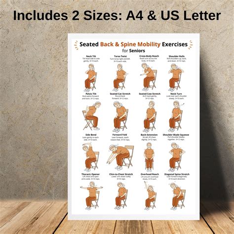 Seated Back And Spine Exercises For Seniors Chair Stretch For Older
