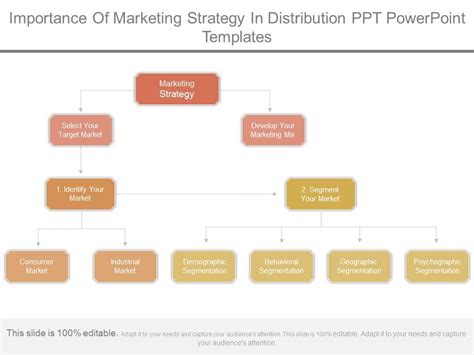 Importance Of Marketing Strategy In Distribution Ppt Powerpoint Templates