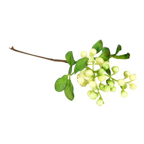 Primrue Commer Berry Stems Wayfair