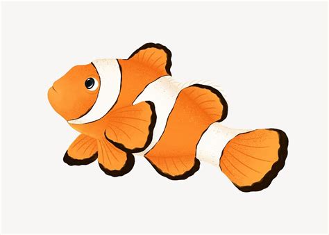 Cute Clownfish Cute Hand Drawn Premium Photo Illustration Rawpixel