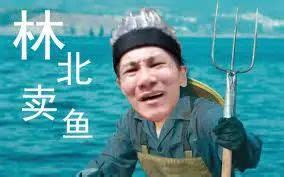 出海东南亚必看！卖鱼哥 王雷”的爆红历程！财经头条
