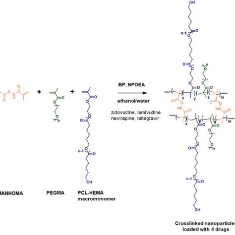A Structures Of Acrylamide N 3 Aminopropyl Methacrylamide And Download Scientific Diagram