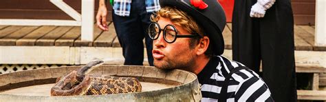 The Greatest Jackass Stunts Of All Time Ranked