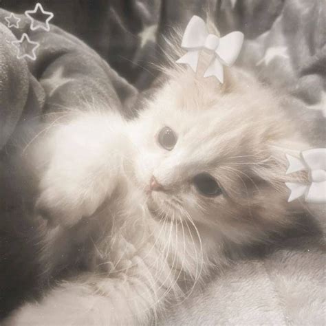 ဆရာမ Pile 3 သစ္စာမရှိတဲ့လူတစ်ယောက်ကြောင့် ကိုယ့်ဘဝက ပူပင်သောကတွေမ