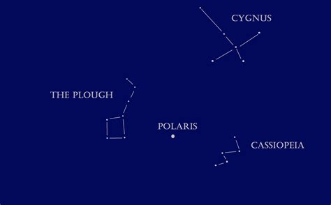 Cygnus Constellation