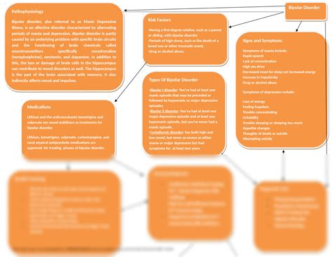 Solution Bipolar Disorder Concept Map Docx Studypool