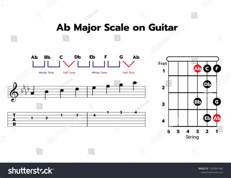 Oneoctave Ab Major Scale On Guitar Stock Vector Royalty Free