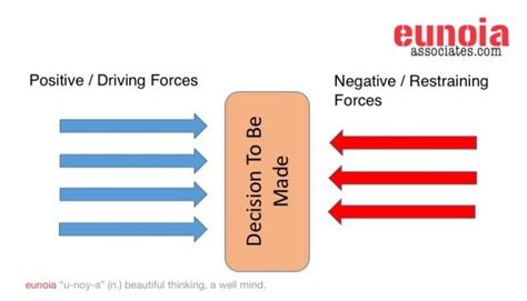 Decision Making Force Field Analysis