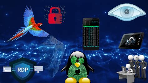 Ethical Hacking 101 A Beginners Guide Denizhalil Professional