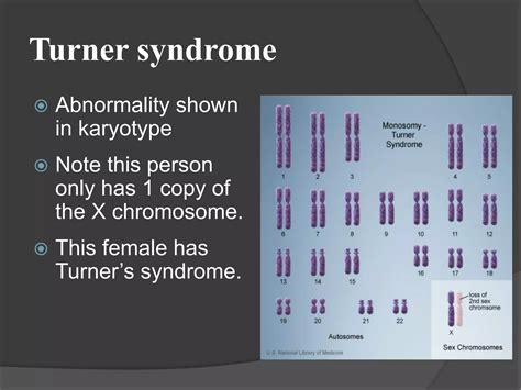 Karyotype Andidiogram Pptx