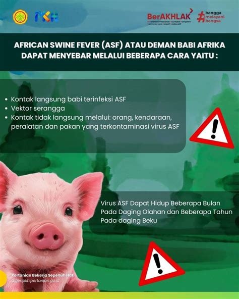 Berita Waspada Penyebaran Virus Asf