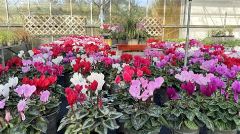 Venue Hire Barnstaple Wakes Corporate Events St Johns