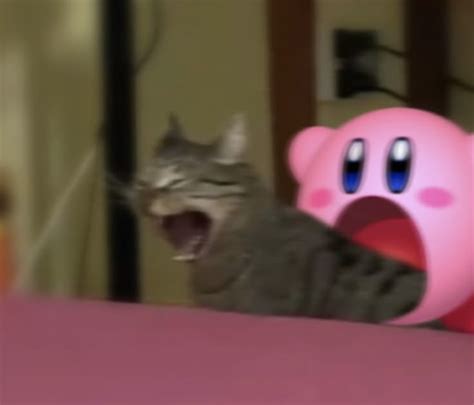 Kirby Cat Minecraft Sachen Smash Buch Korb