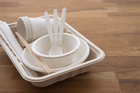 Spotlight On Compostable Packaging Design Labeling And Infrastructure