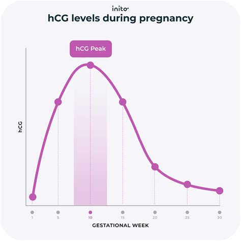 Hcg Levels Twins Key Indicators For Twin Pregnancy