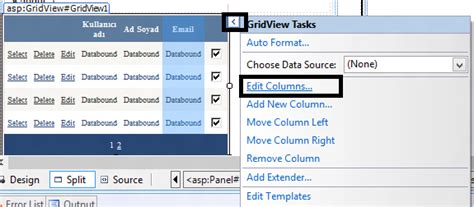 Gridview Ile Edit Canceledit Update Delete Ve Select Kullanimi Mtk Mahmut Talha Koz