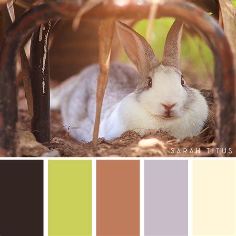 25 Easter Color Palettes Sarah Titus