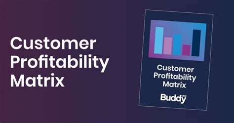 Customer Profitability Matrix Buddycrm