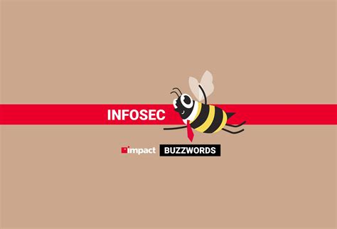 What Is Information Security Infosec Buzzwords Impact Networking