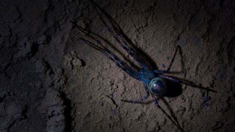 Xxx Fotonovelas La Mejor Paginas De Comics Xxx En Español