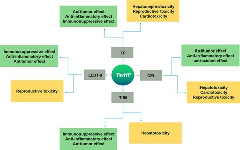 Pharmacological And Toxicological Effects Of Tp Cel T 96 Lldt 8 Tp