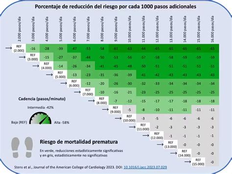 Y Si No Son 10000 ¿cuántos Pasos Debo Dar Al Día La ‘matriz De