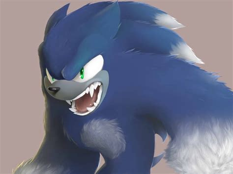 Sonic The Werehog By Limirina On Deviantart Perros Para Dibujar