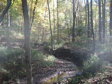 Mary Gray Bird Sanctuary Lazy S Curve Of A River Stream Flickr