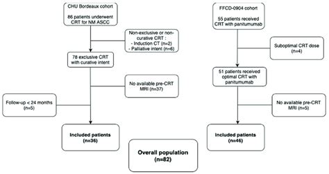 Flowchart Of Patient Selection Abbreviations Crt Download
