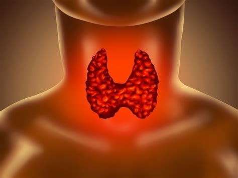 Paratiroid Bezi Antalya Genel Cerrahi Uzmanı