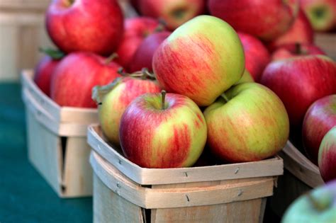 Guide To 18 Apples Varieties