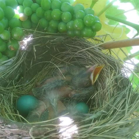 Photo Gallery Ten Spoon