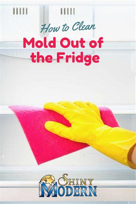 How To Clean Mold Out Of The Fridge Clean Refrigerator Molding Get