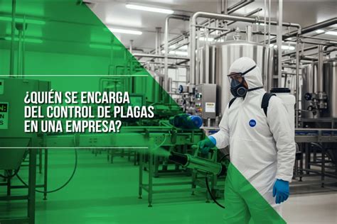 ¿quién Se Encarga Del Control De Plagas En Una Empresa Palmera