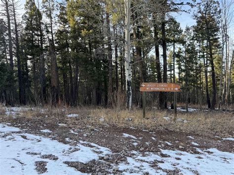 Grassy Lookout Fr138a New Mexico Gps Trail Map Conditions