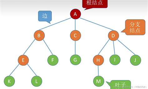 深入理解树与二叉树结构：概念、遍历与存储 csdn博客