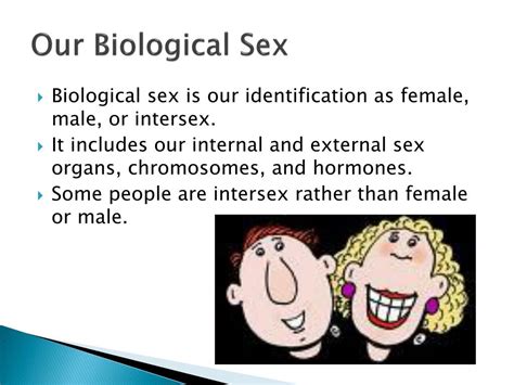 PPT Biological Sex PowerPoint Presentation Free Download ID 2095170