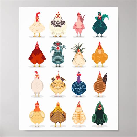 Cute Chicken Poster Zazzle