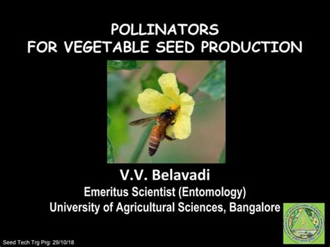 Pollinators For Vegetables Seed Productions Ppt