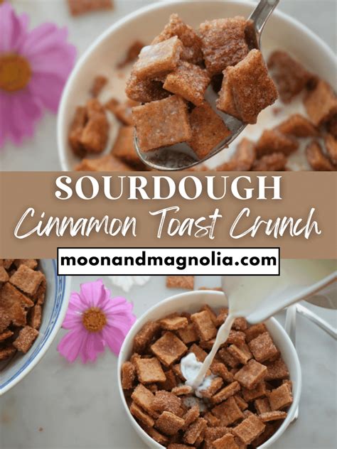 Homemade Sourdough Cinnamon Toast Crunch Recipe Moon Magnolia