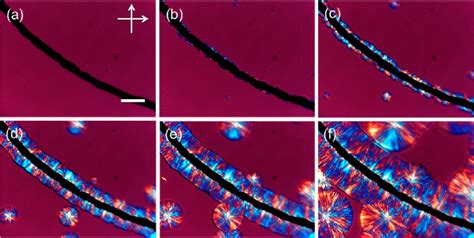 Series Of Polarized Optical Micrographs With Retarding Plates Of Ipp